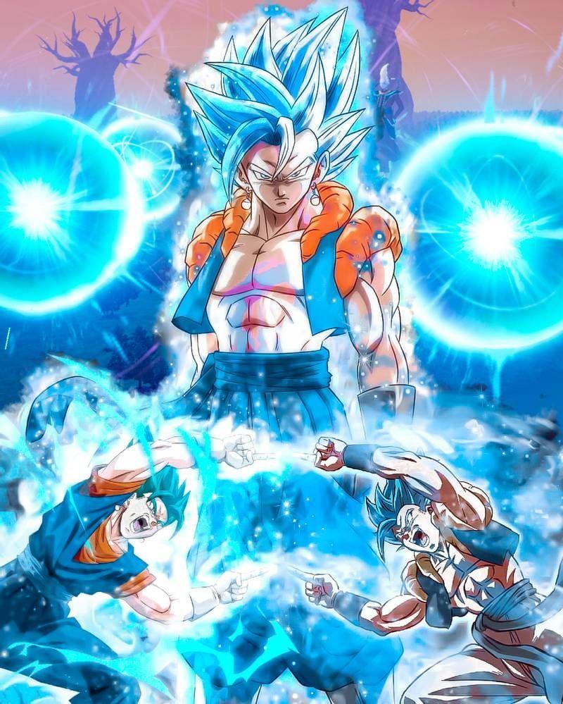 Gogito Wallpapers - Top Free Gogito Backgrounds - WallpaperAccess