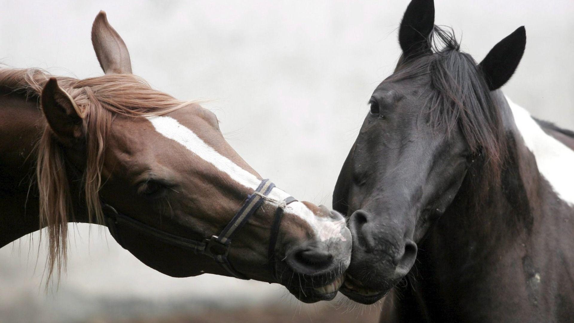 Intimate Wallpapers - Top Free Intimate Backgrounds - WallpaperAccess