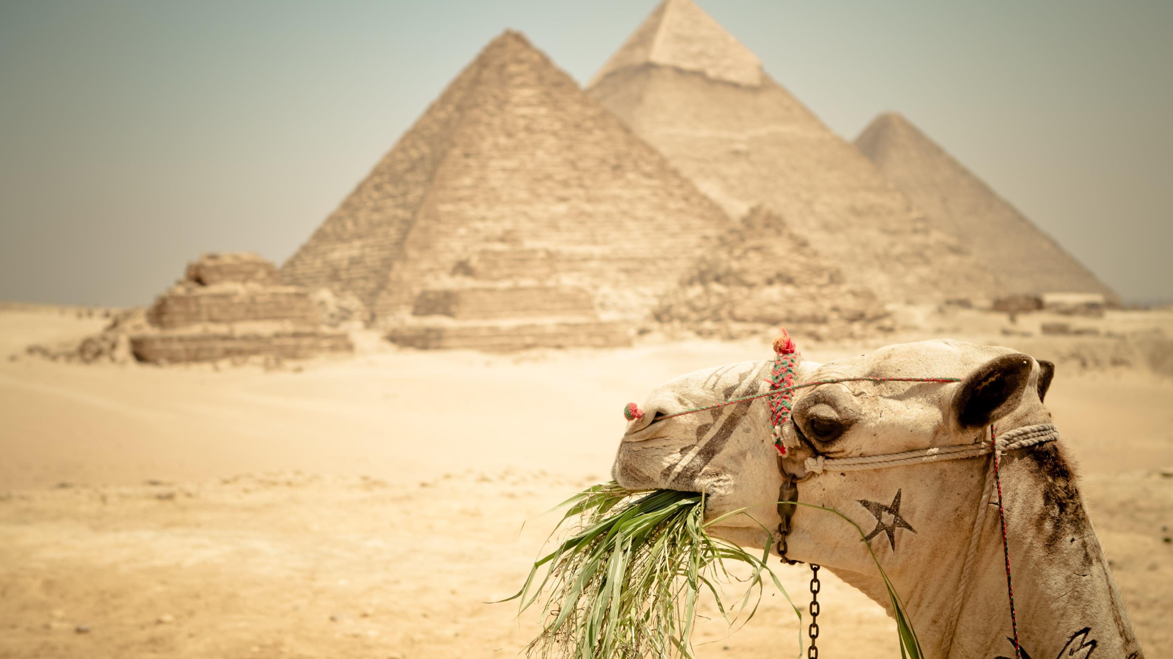 Egyptian Pyramids Wallpapers - Top Free Egyptian Pyramids Backgrounds ...
