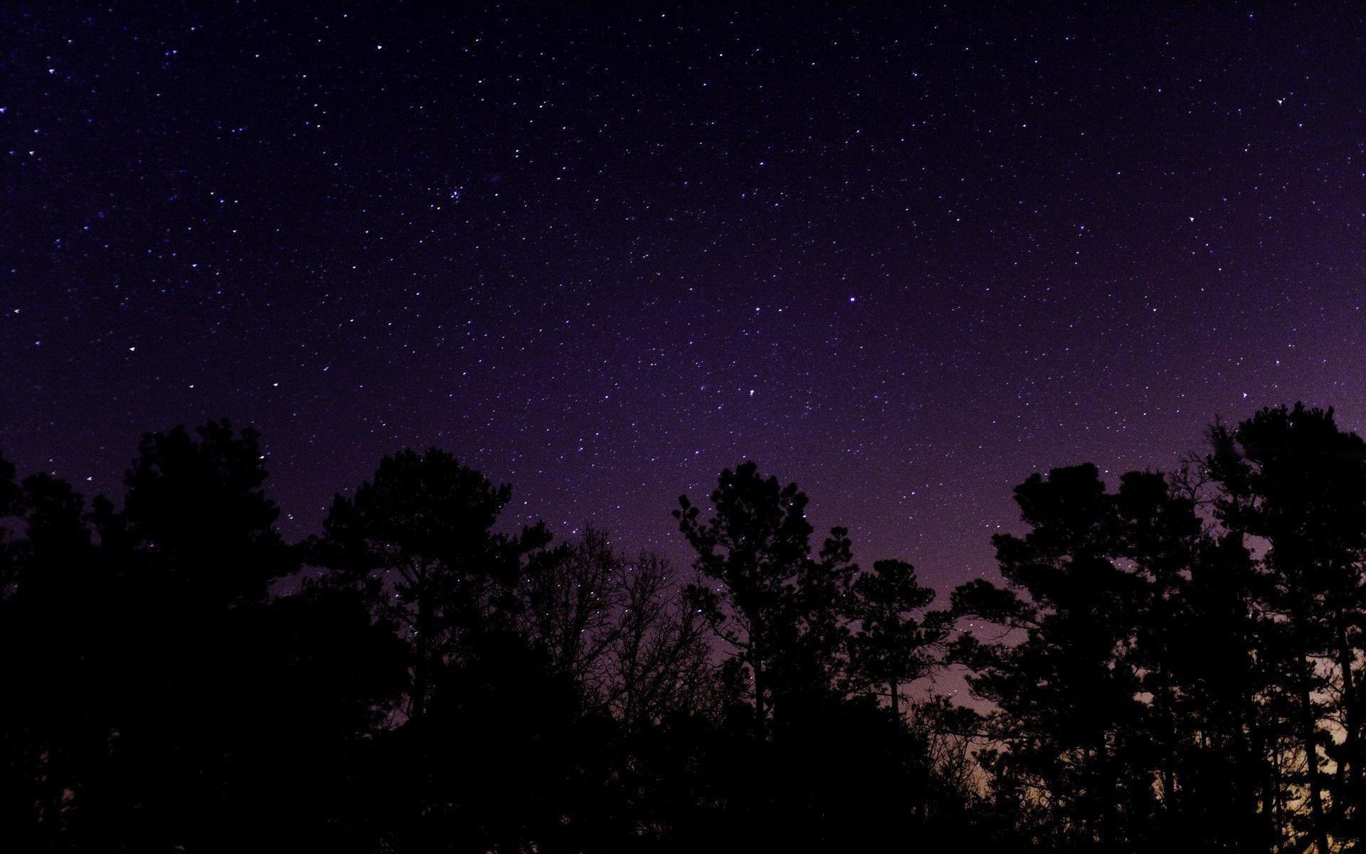 Starry Night Aesthetic Wallpapers - Top Free Starry Night Aesthetic ...