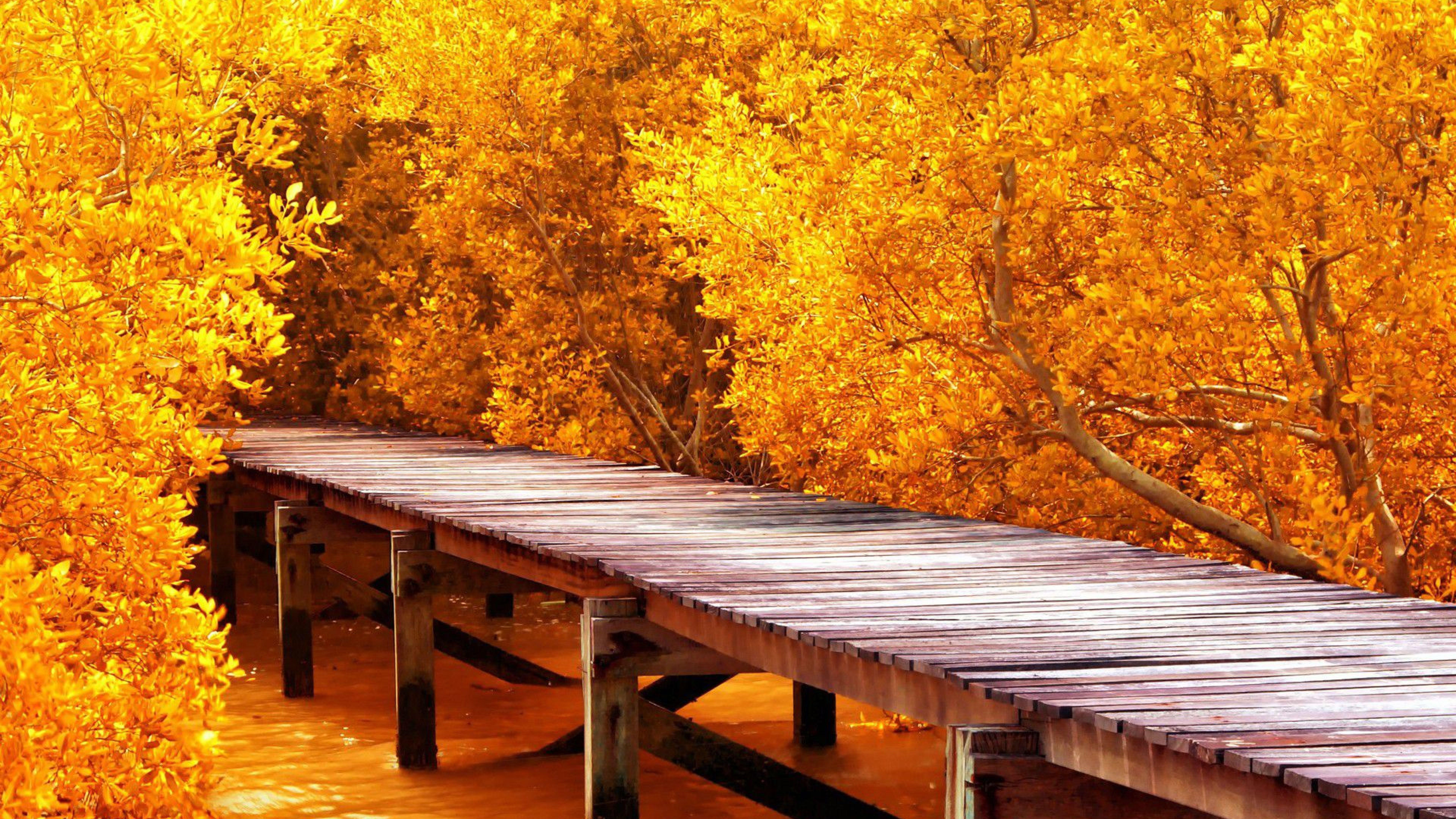 Amazing Nature 4K Wallpapers - Top Free Amazing Nature 4K Backgrounds ...