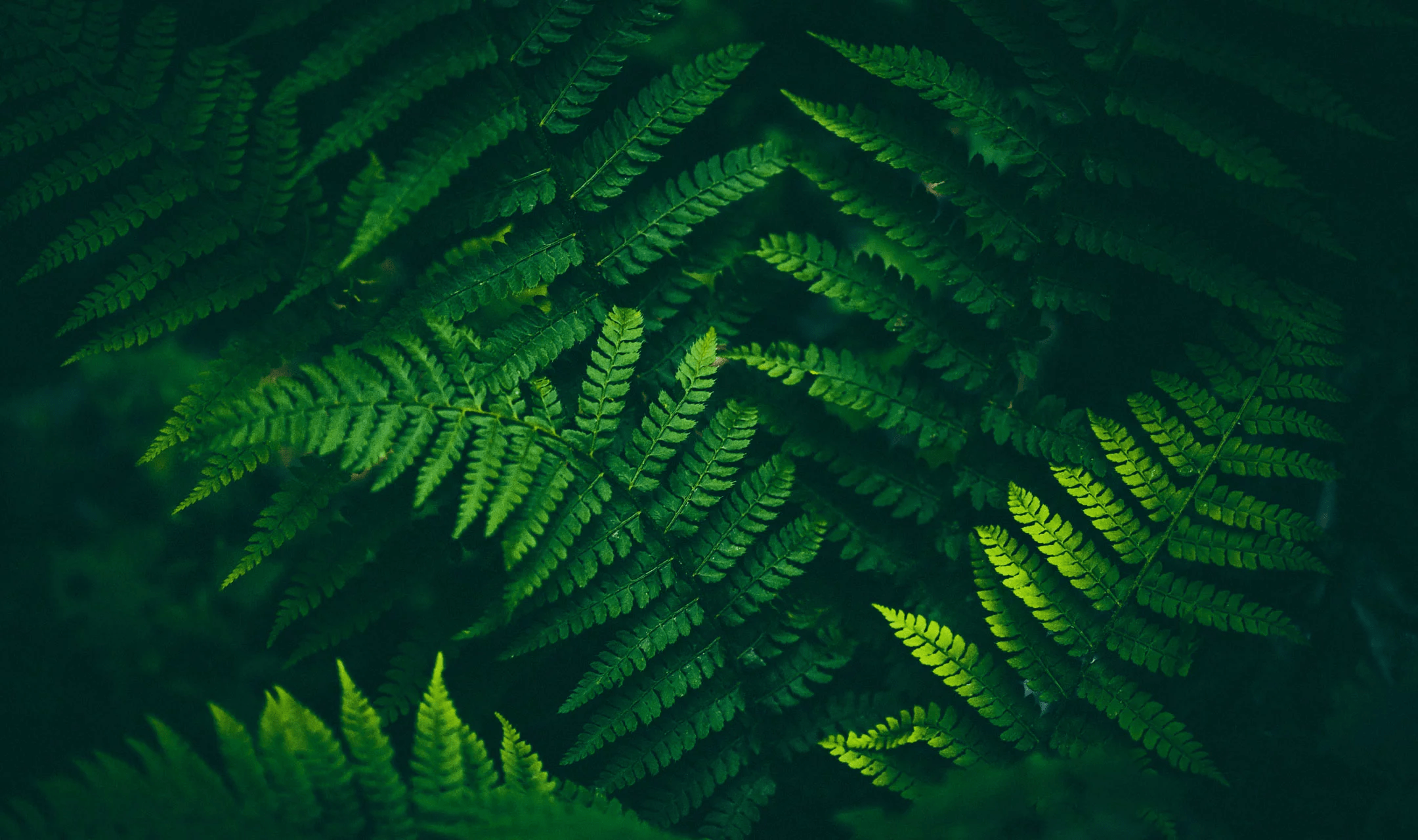 To Do Wallpapers - Top Free To Do Backgrounds - WallpaperAccess