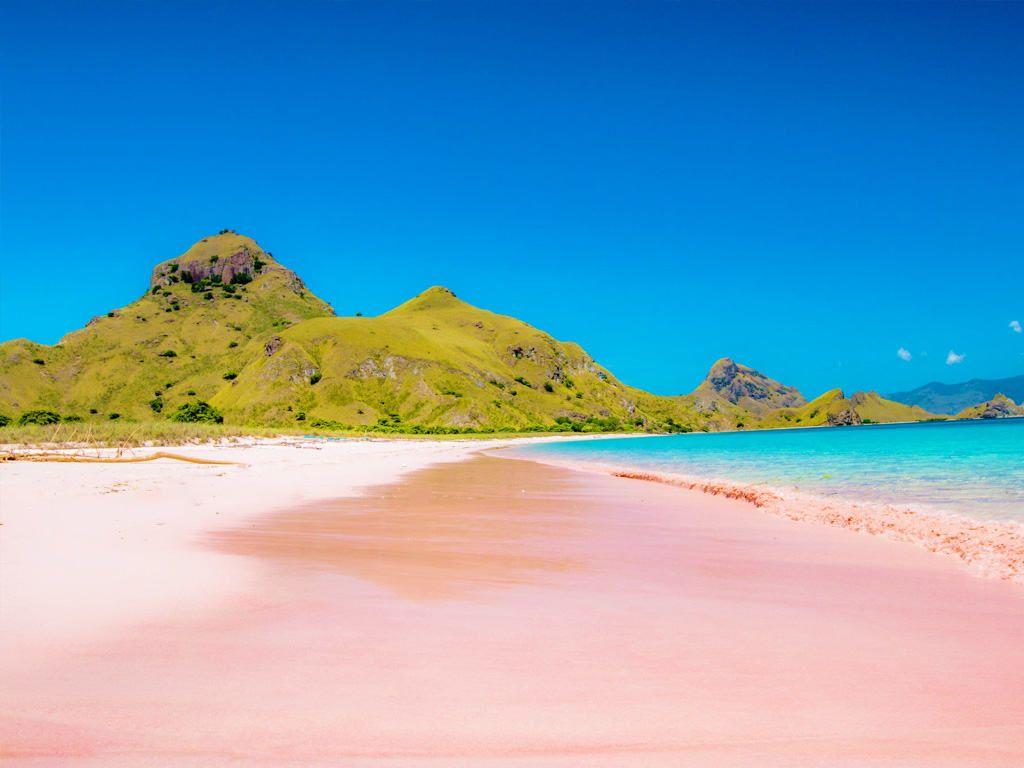 Pink Beach Wallpapers - Top Free Pink Beach Backgrounds - WallpaperAccess