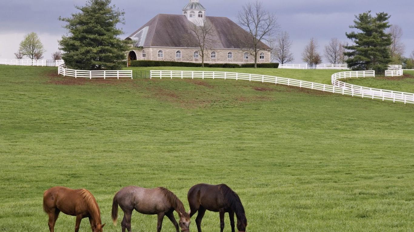 Cute Farm Wallpapers - Top Free Cute Farm Backgrounds - WallpaperAccess