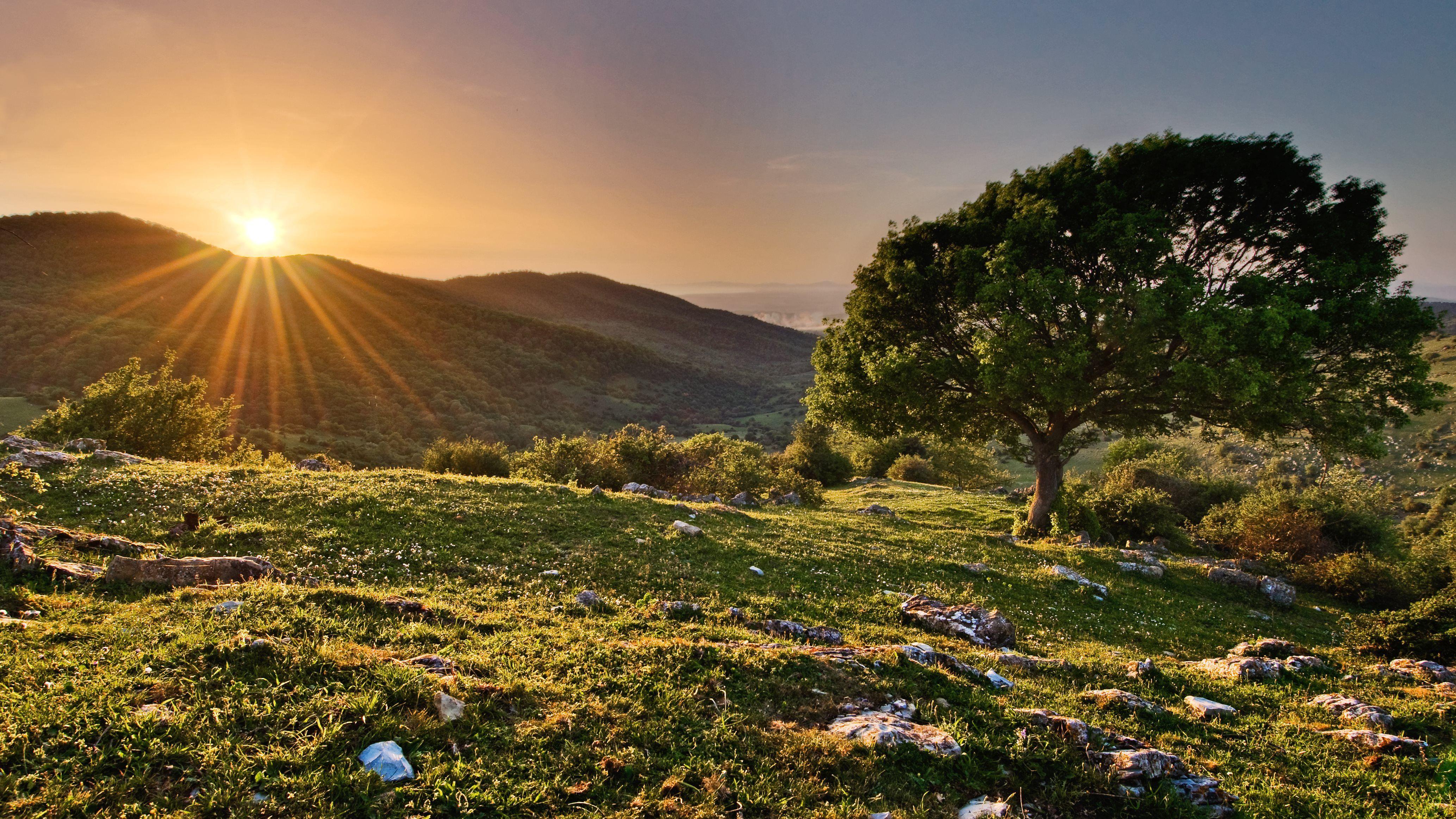 4K Ultra HD Sunrise Wallpapers - Top Free 4K Ultra HD Sunrise ...