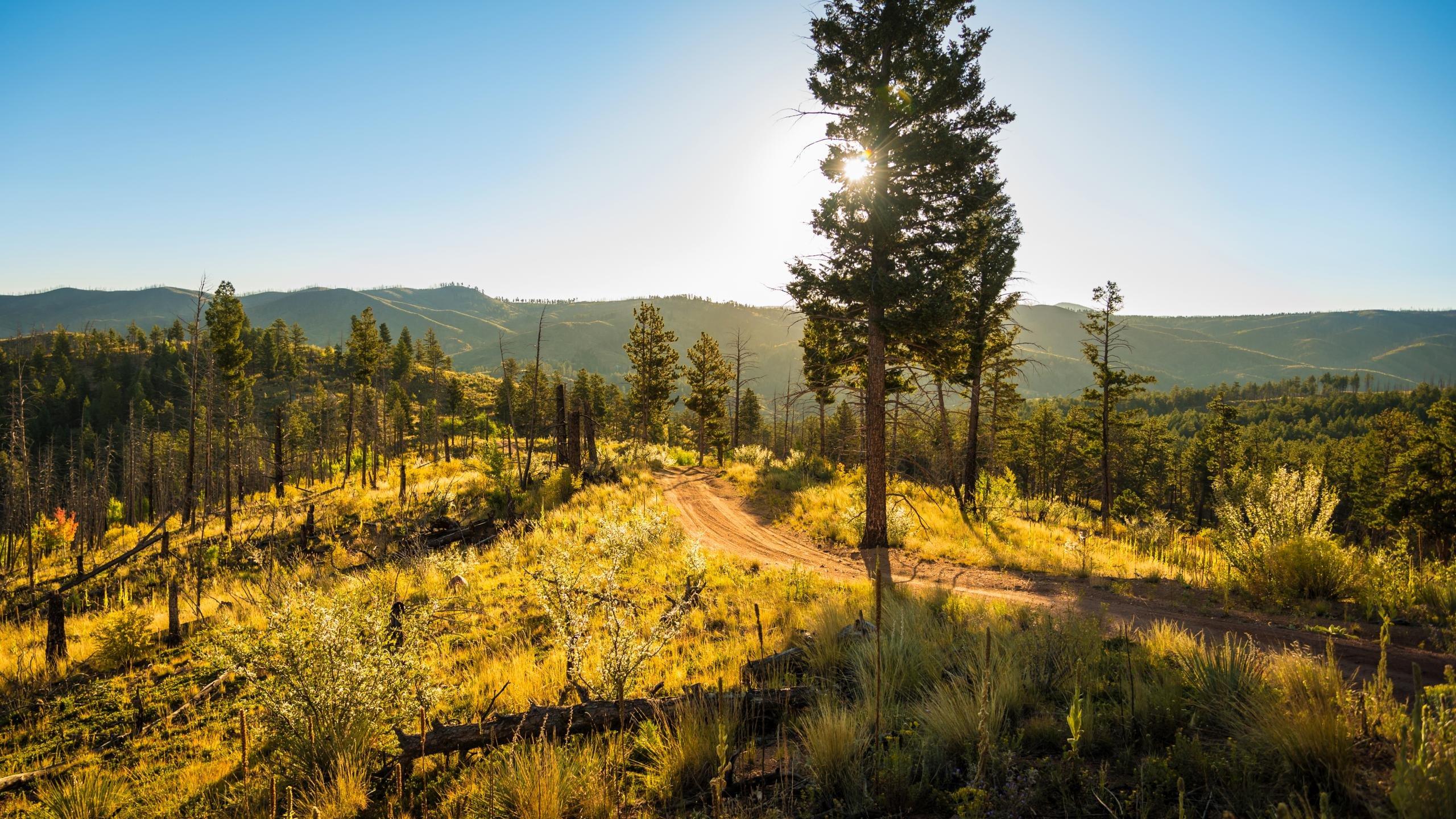 Amazing HD Sunny Landscape Wallpapers - Top Free Amazing HD Sunny ...