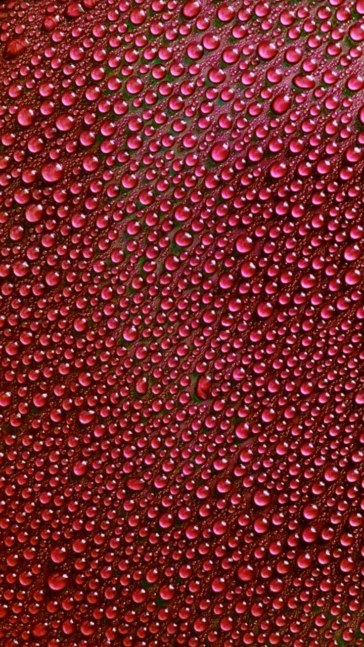 Red Rain Wallpapers - Top Free Red Rain Backgrounds - WallpaperAccess