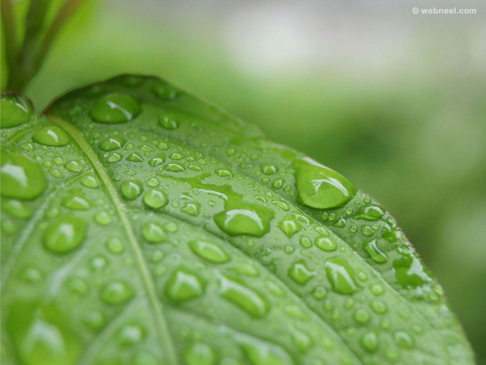 Amazing Rain Wallpapers - Top Free Amazing Rain Backgrounds ...