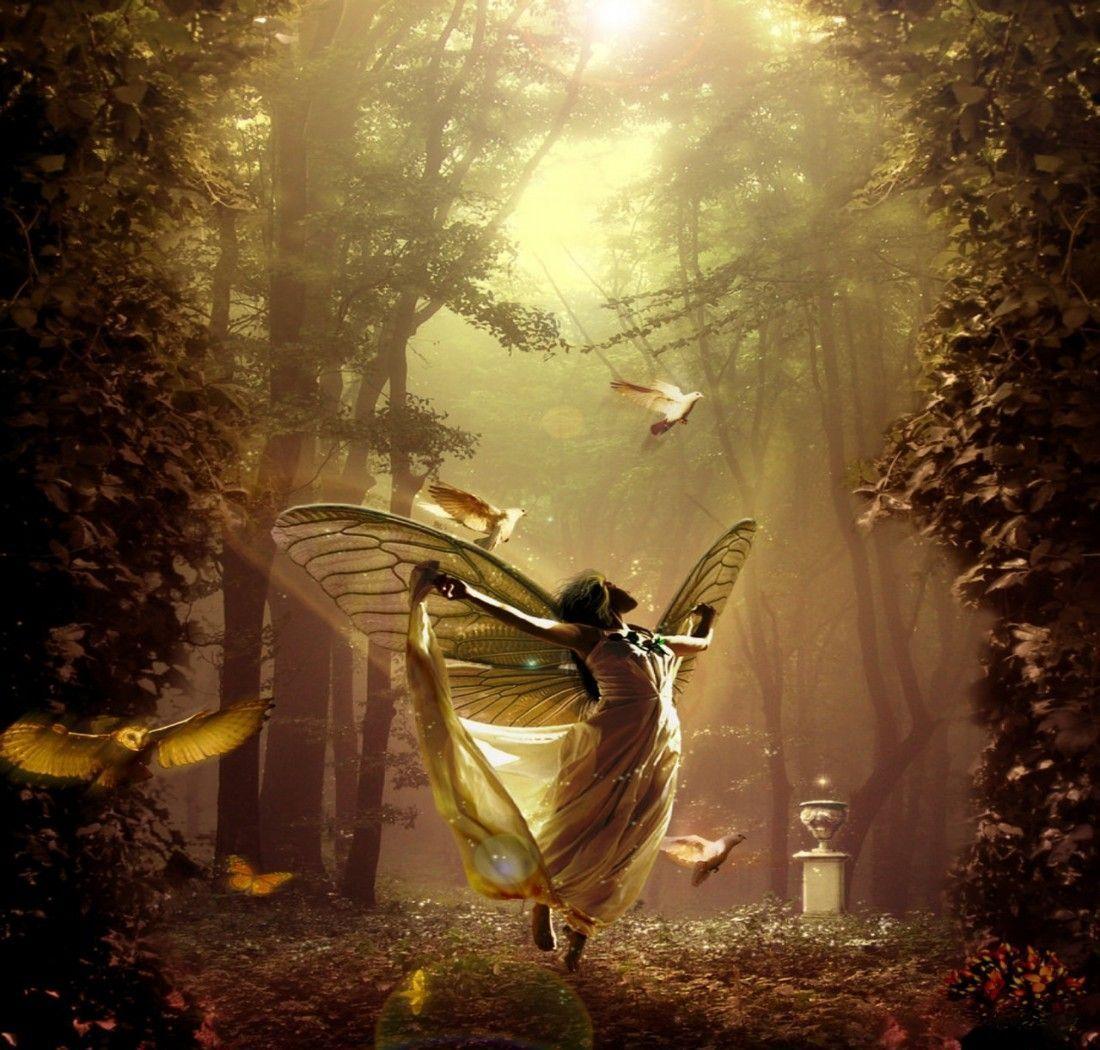 Enchanted Fairy Wallpapers - Top Free Enchanted Fairy Backgrounds ...