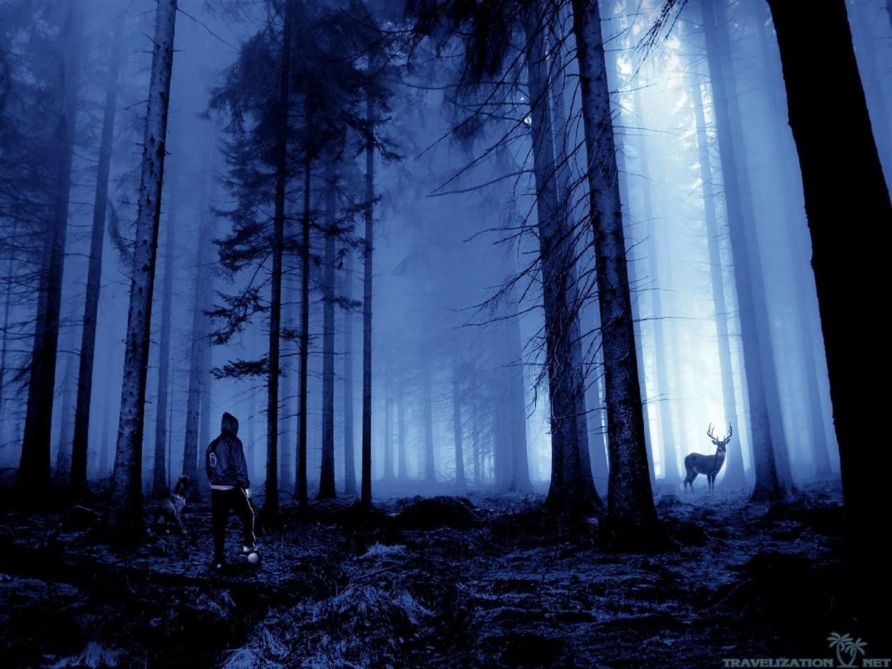 Horror Forest Wallpapers - Top Free Horror Forest Backgrounds ...