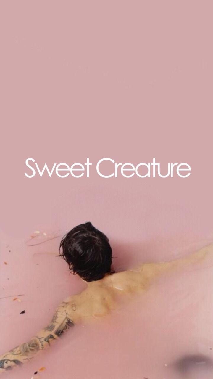 Harry Styles Album Cover Wallpapers - Top Free Harry Styles Album Cover ...