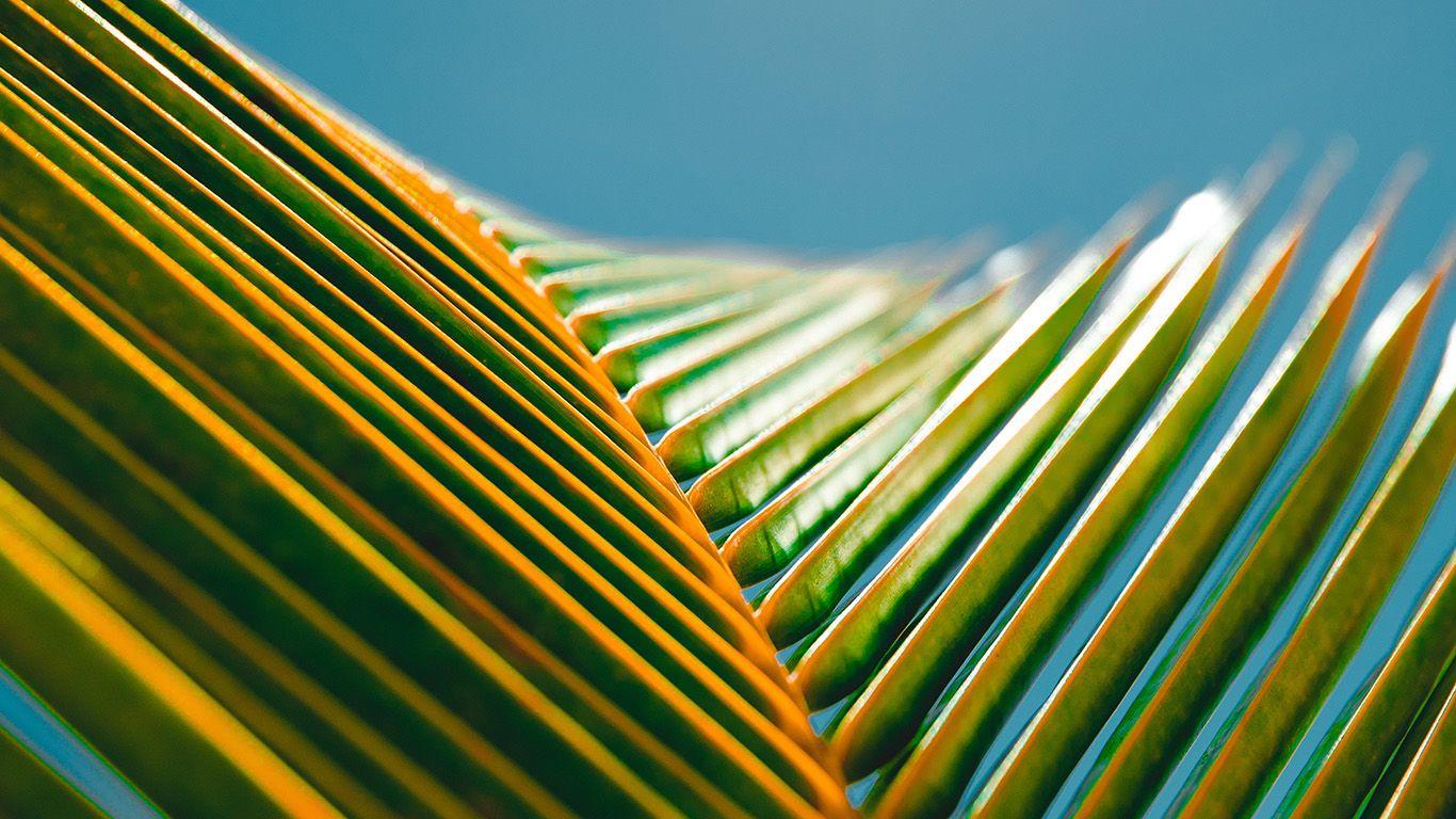 Simple Summer Desktop Wallpapers - Top Free Simple Summer Desktop ...