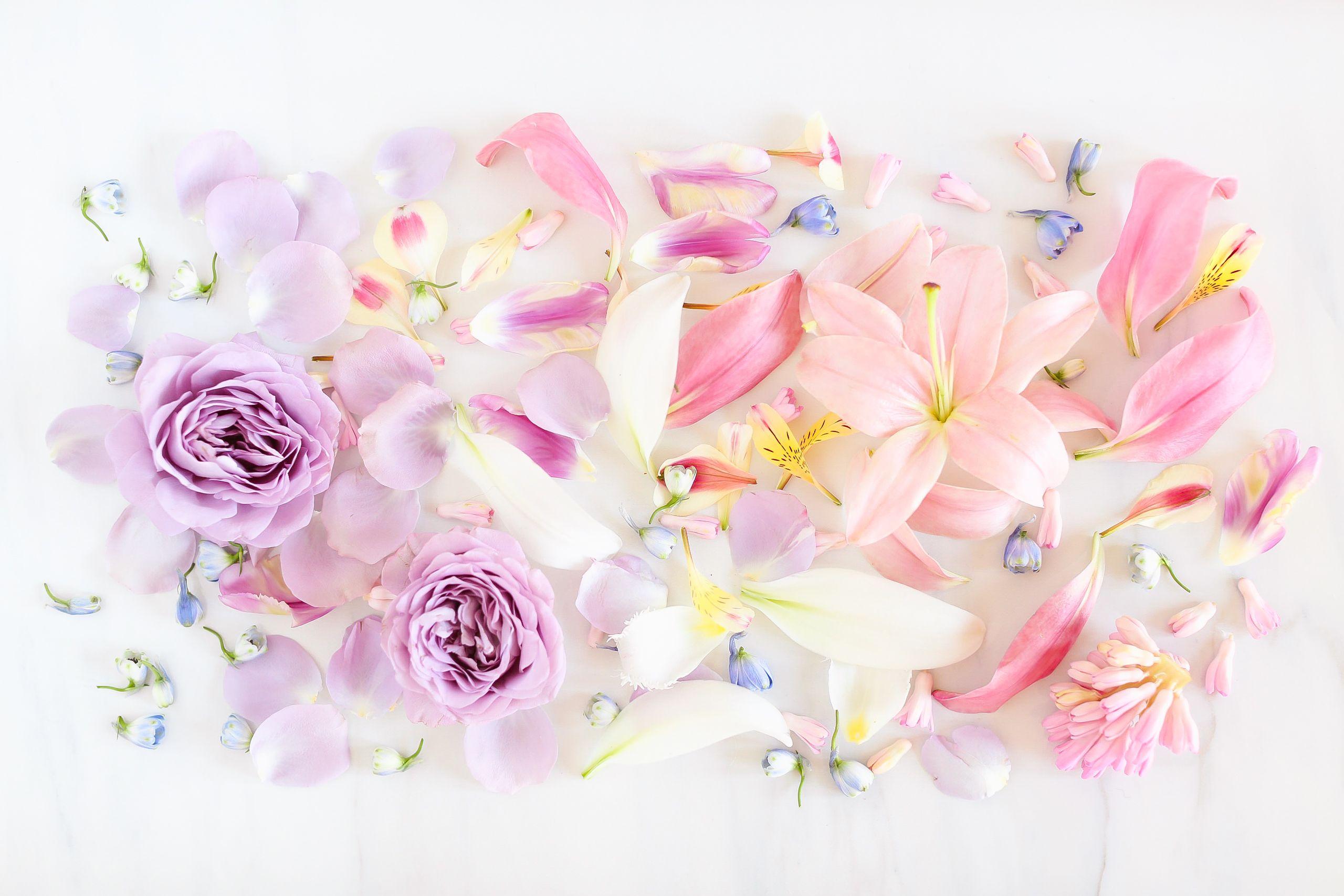 Pastel Flower Desktop Wallpapers - Top Free Pastel Flower Desktop ...