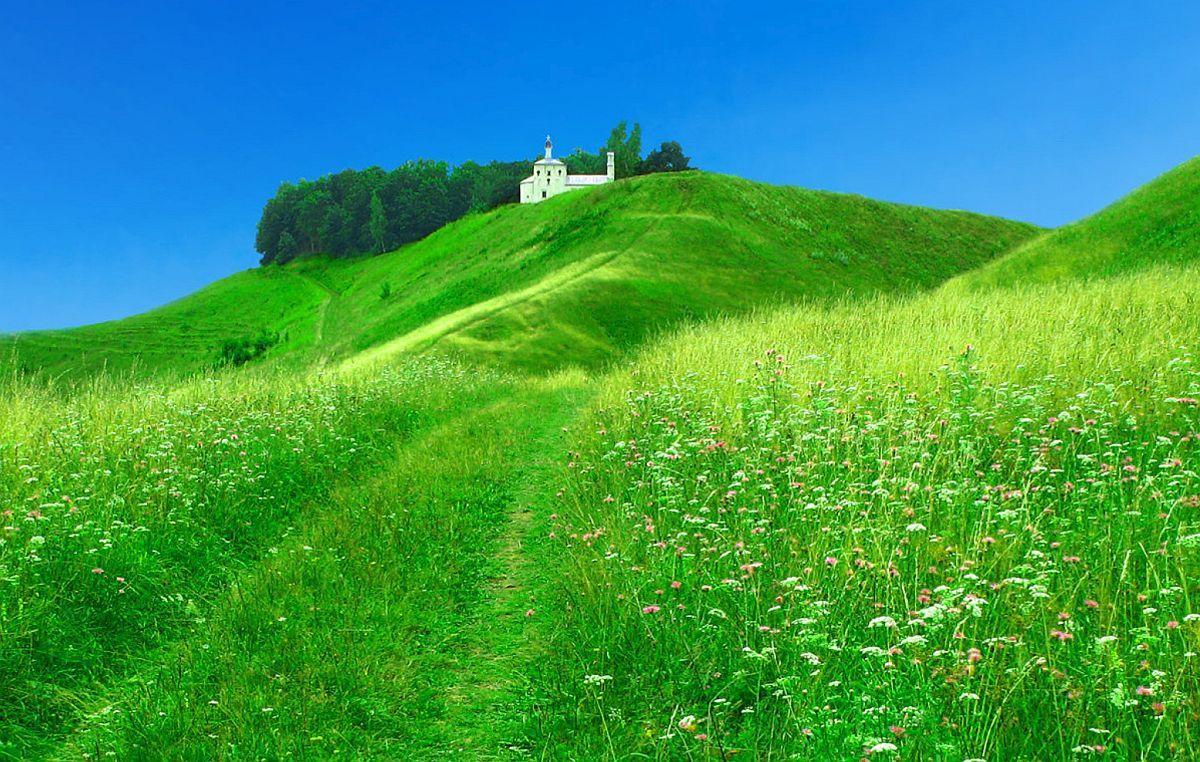 Green Meadow Wallpapers - Top Free Green Meadow Backgrounds ...
