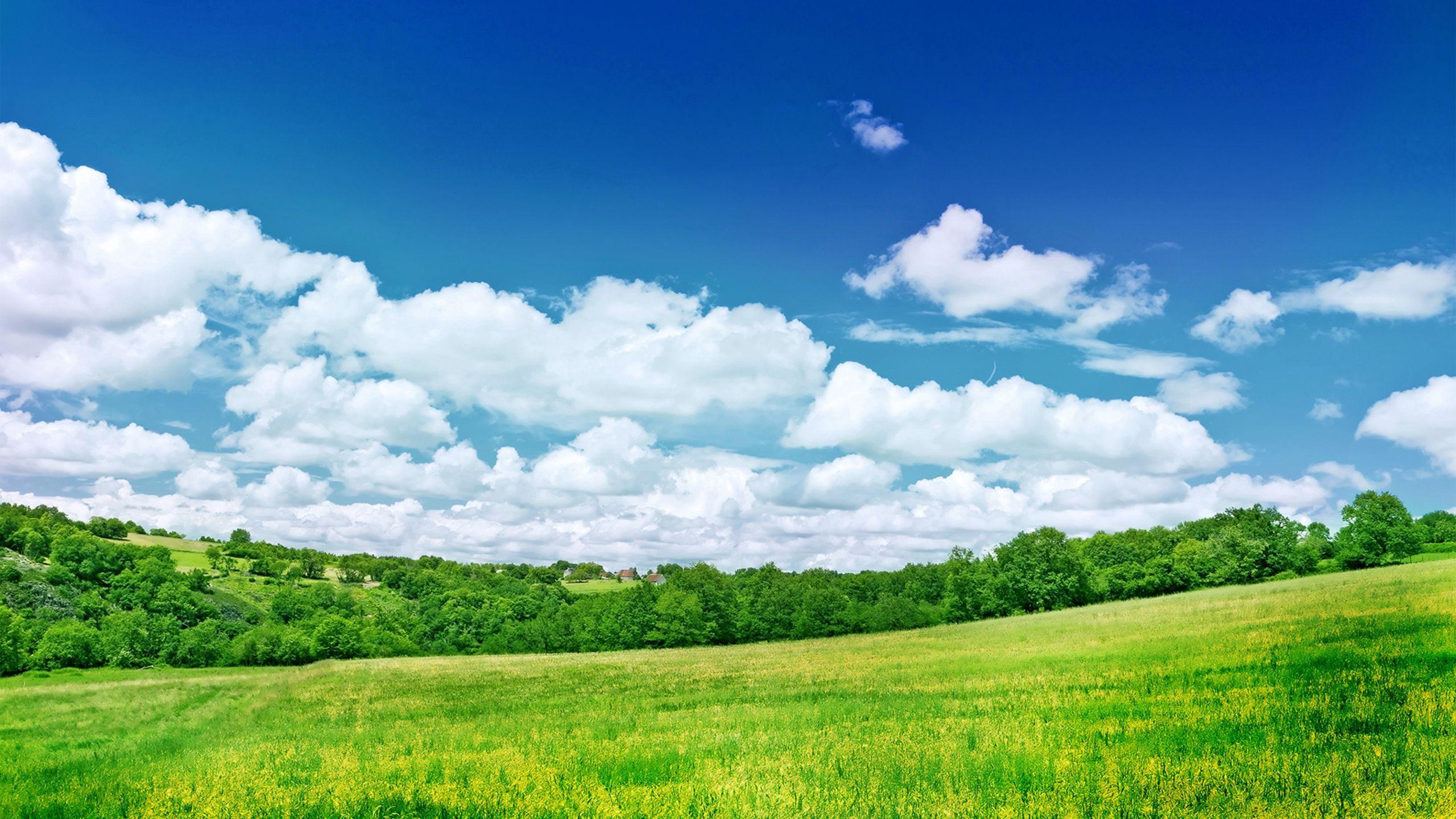 Green Meadow Wallpapers - Top Free Green Meadow Backgrounds ...