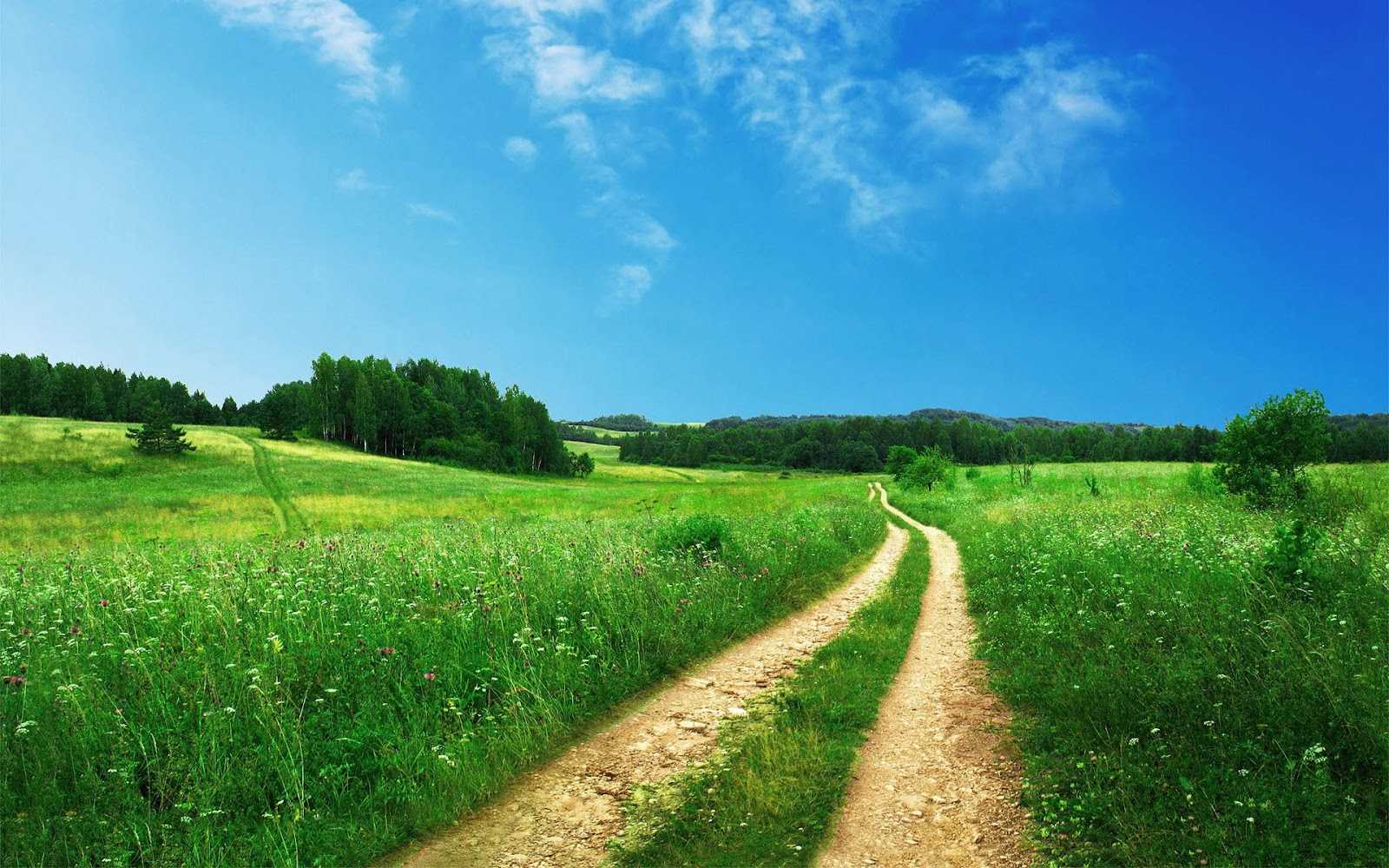 Green Meadow Wallpapers - Top Free Green Meadow Backgrounds ...
