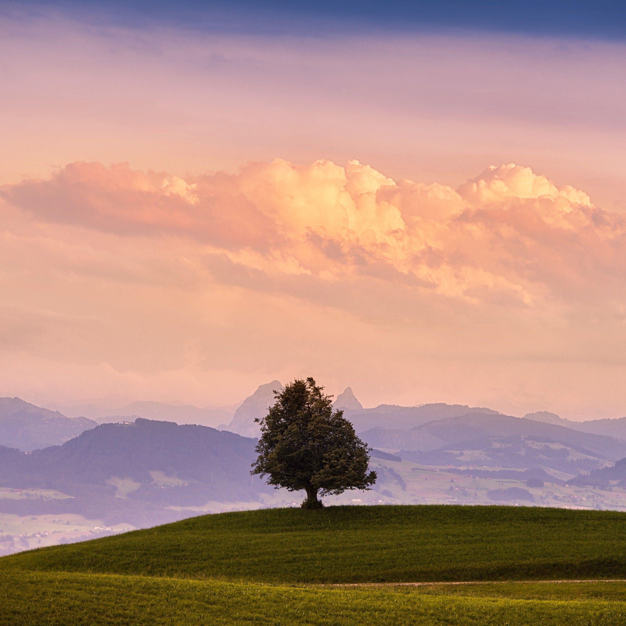 Green Meadow Wallpapers - Top Free Green Meadow Backgrounds ...