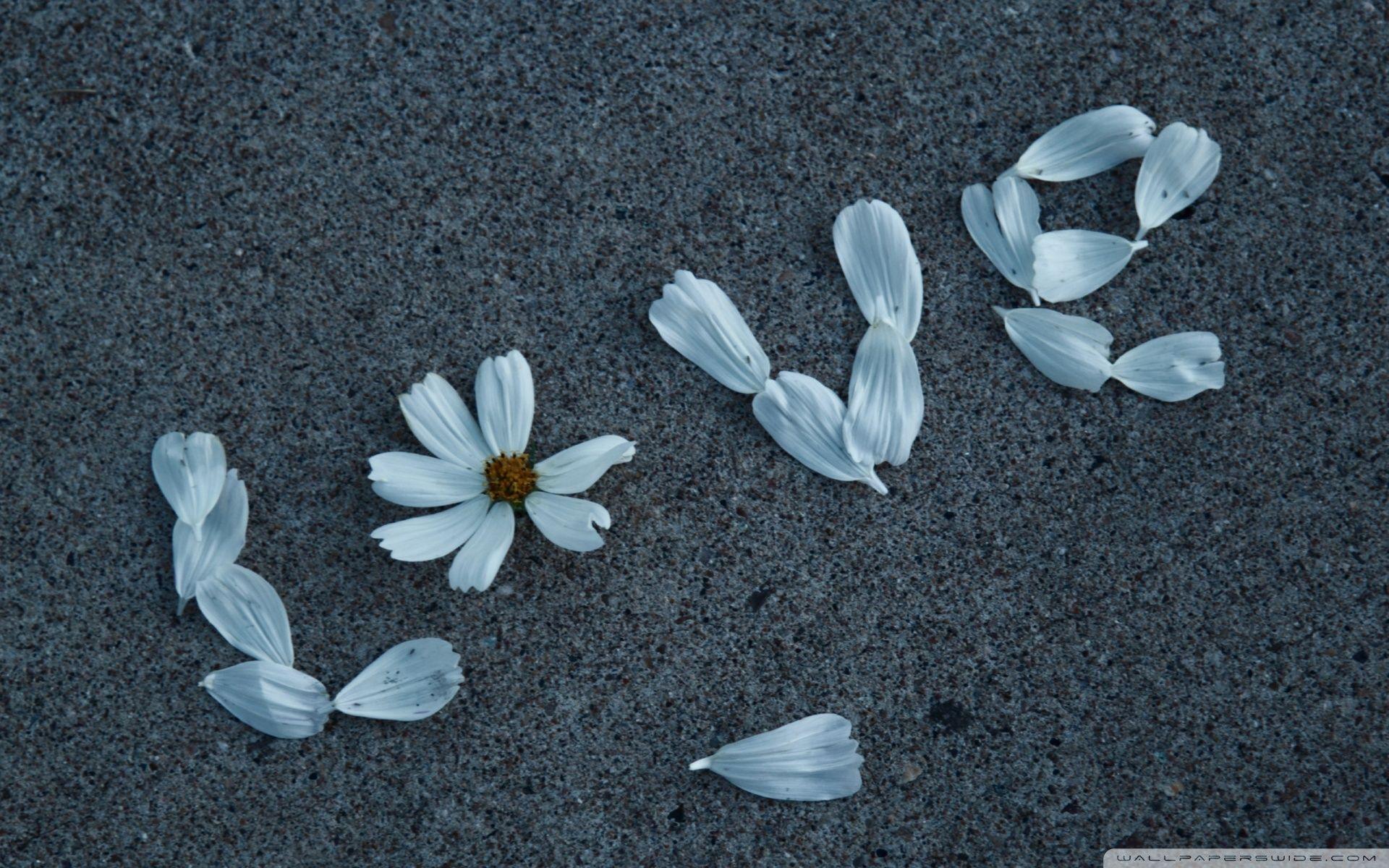 Message Desktop Wallpapers - Top Free Message Desktop Backgrounds ...