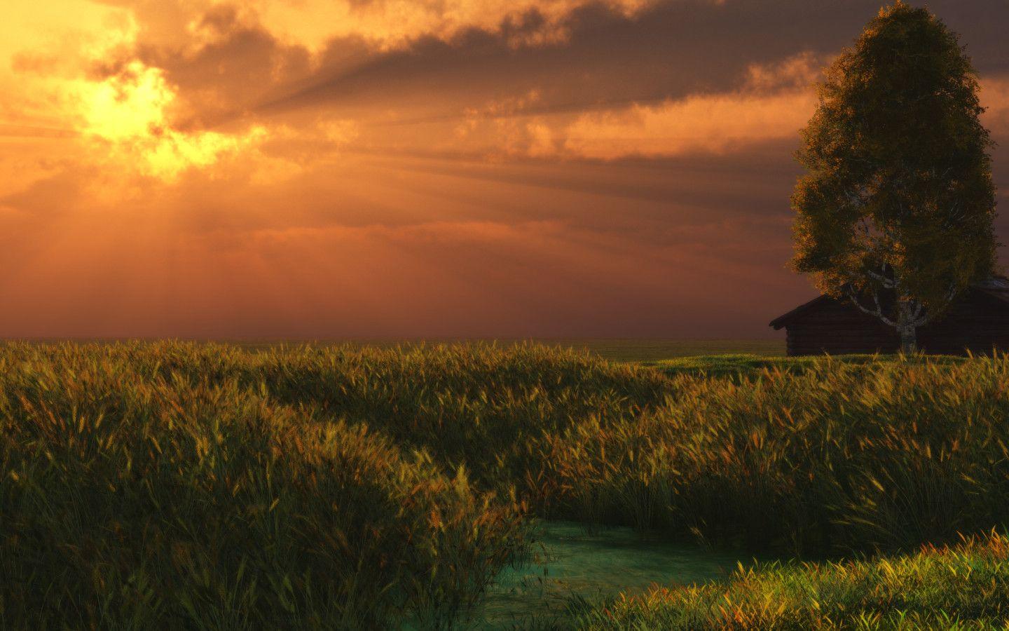 Summer Evening Wallpapers - Top Free Summer Evening Backgrounds ...