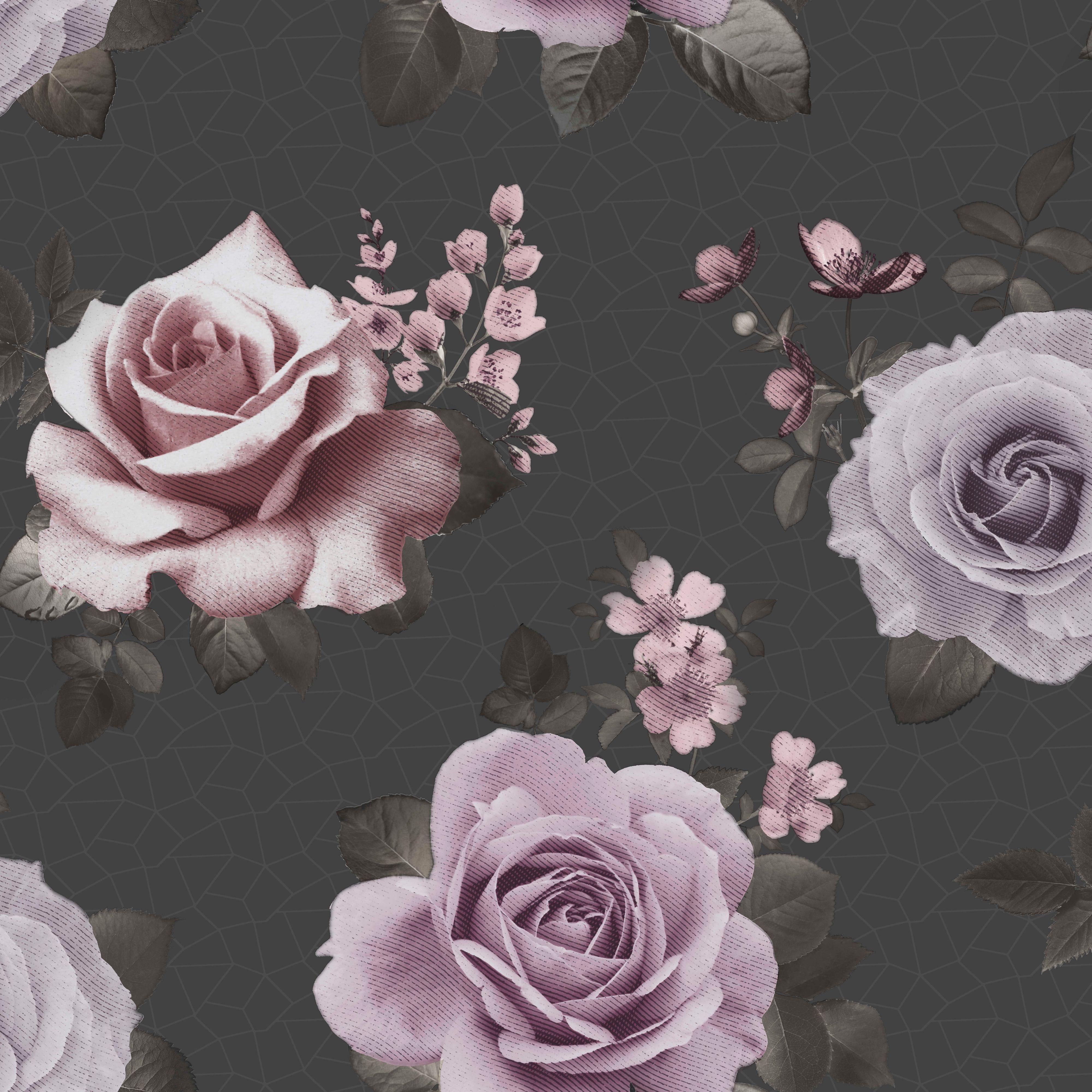 Black and Pink Rose Wallpapers - Top Free Black and Pink Rose ...