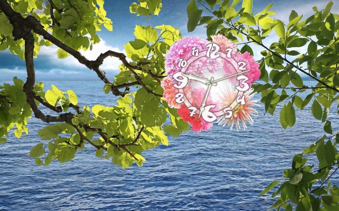 Active Wallpapers - Top Free Active Backgrounds - WallpaperAccess