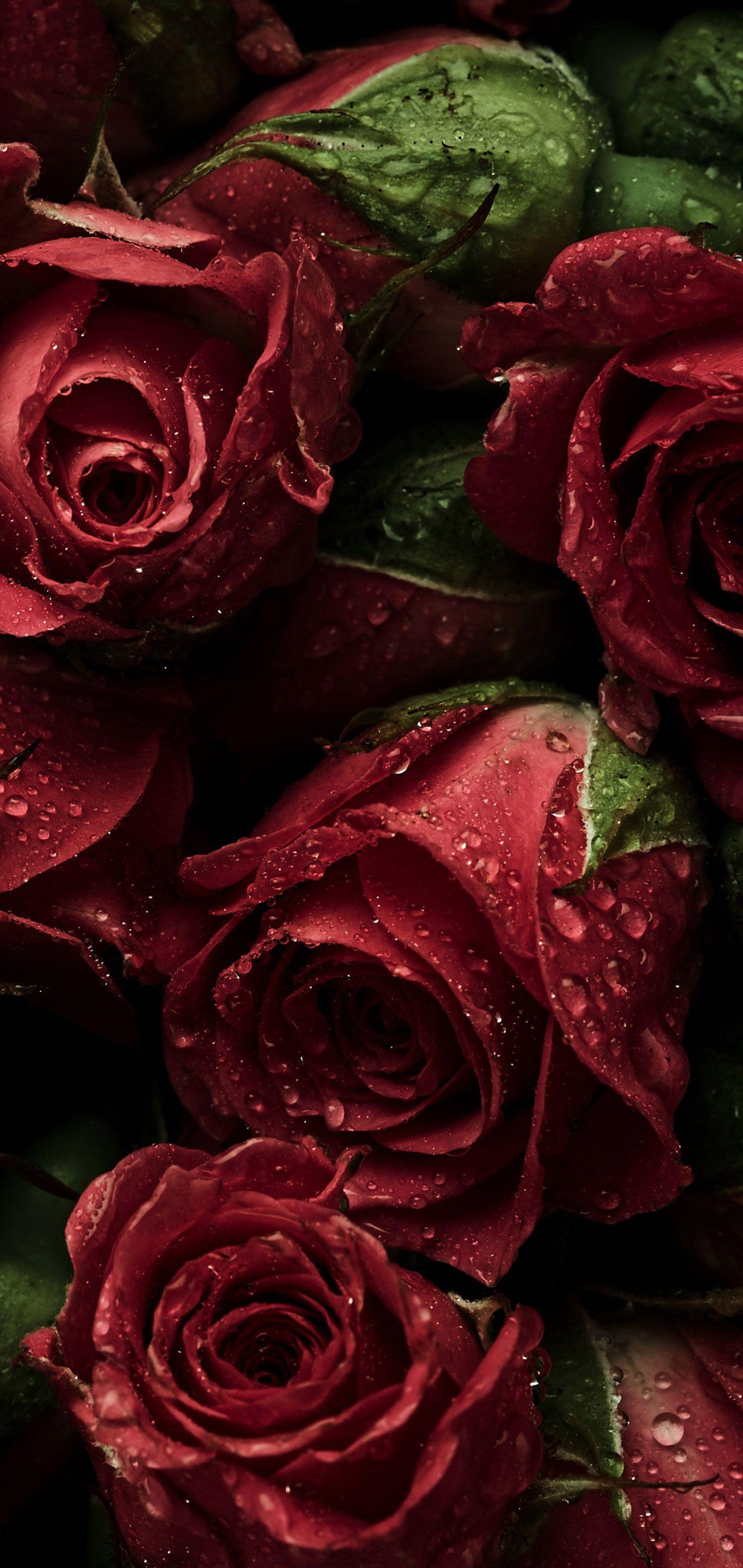 Samsung Galaxy Red Wallpapers - Top Free Samsung Galaxy Red Backgrounds ...