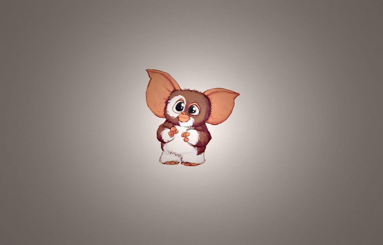 Gizmo Wallpapers - Top Free Gizmo Backgrounds - WallpaperAccess