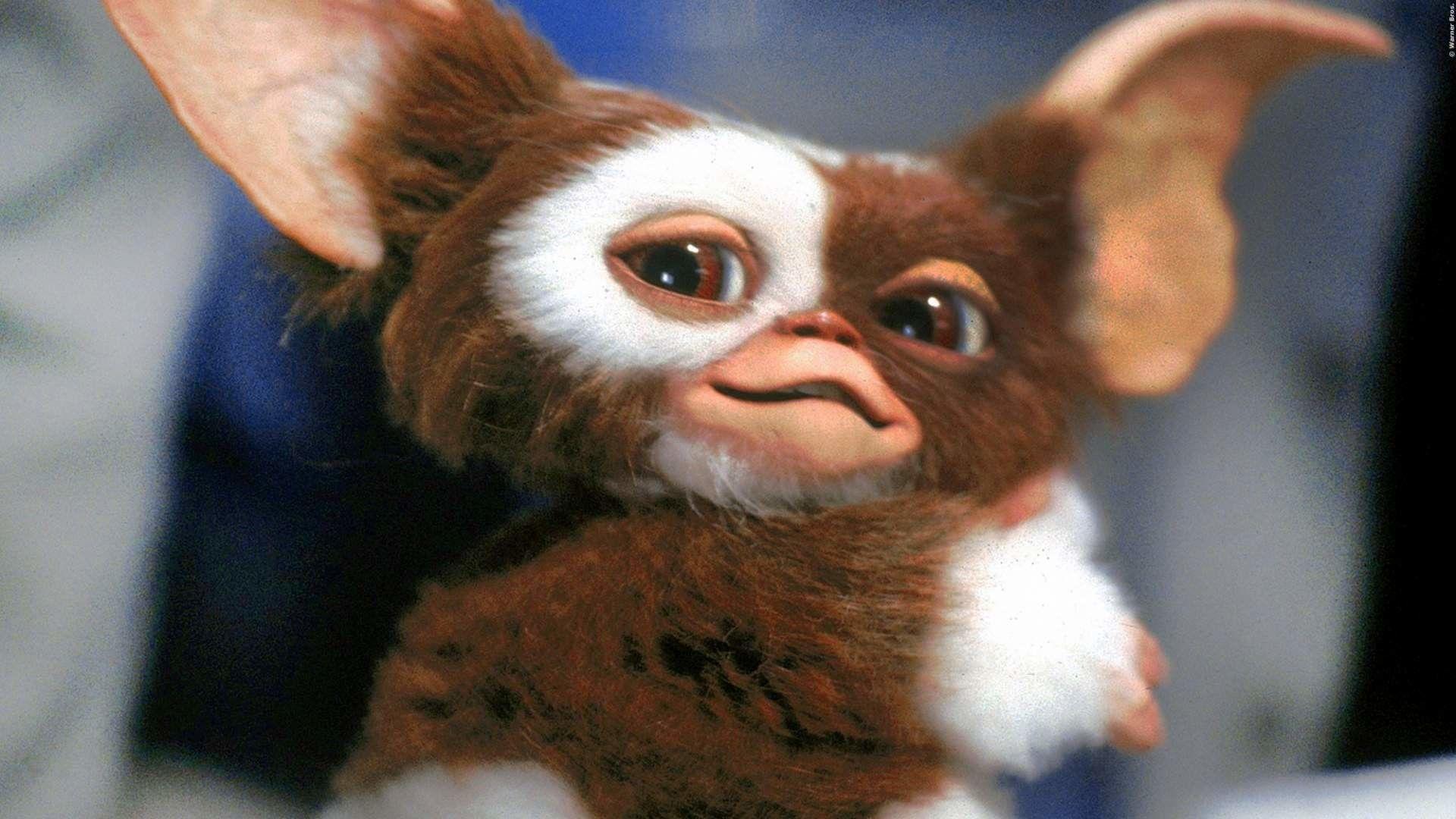 Gizmo Wallpapers - Top Free Gizmo Backgrounds - WallpaperAccess