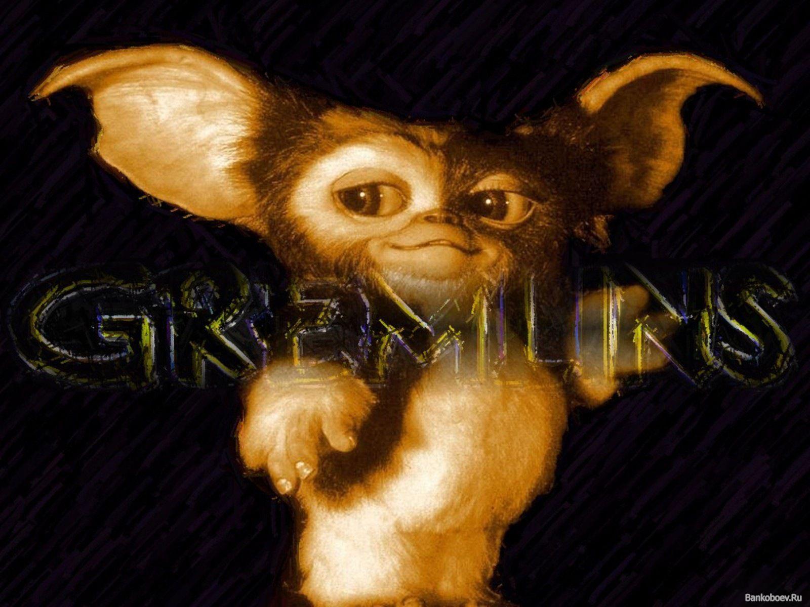 Gizmo Wallpapers - Top Free Gizmo Backgrounds - WallpaperAccess