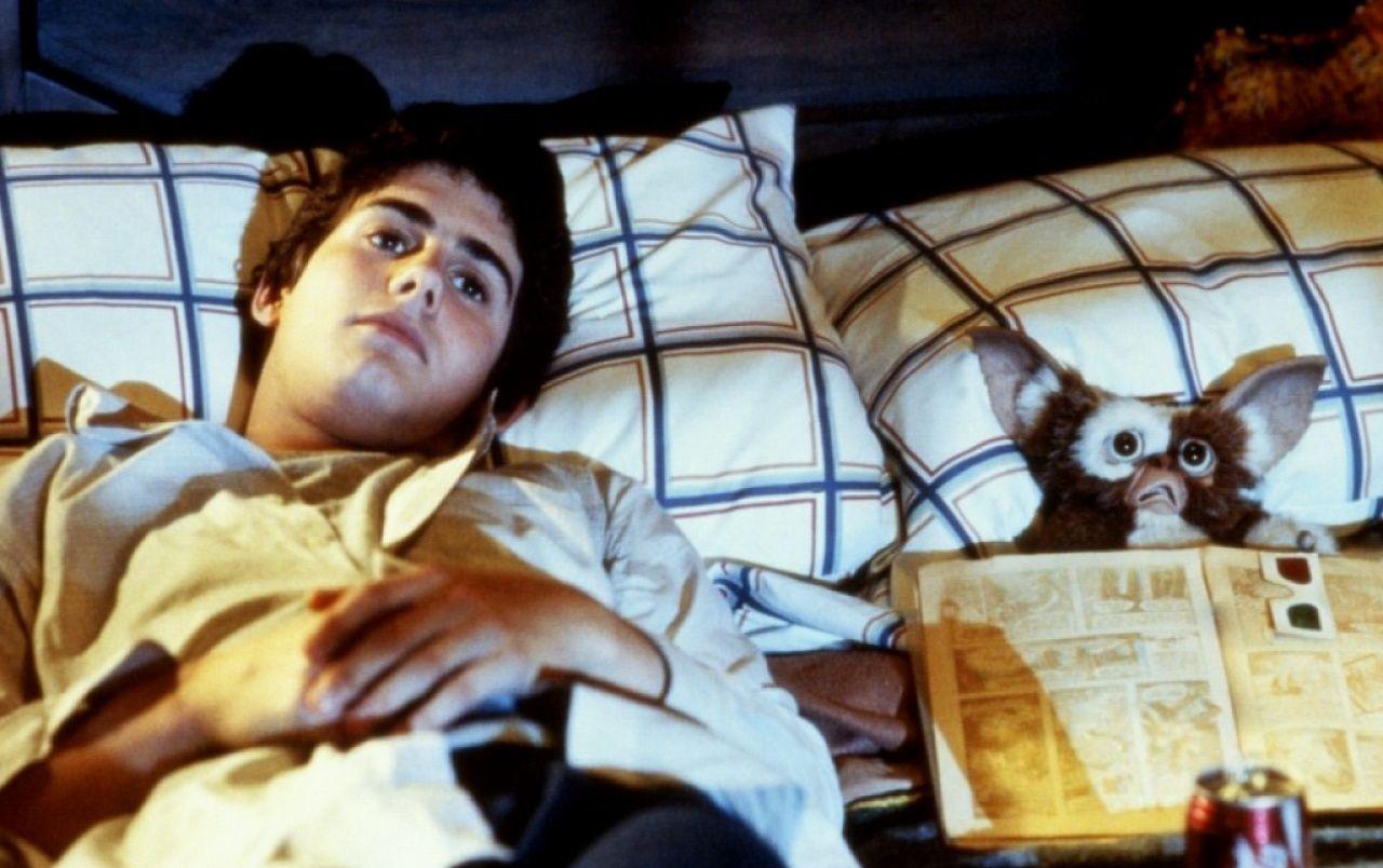 Gizmo Wallpapers - Top Free Gizmo Backgrounds - WallpaperAccess