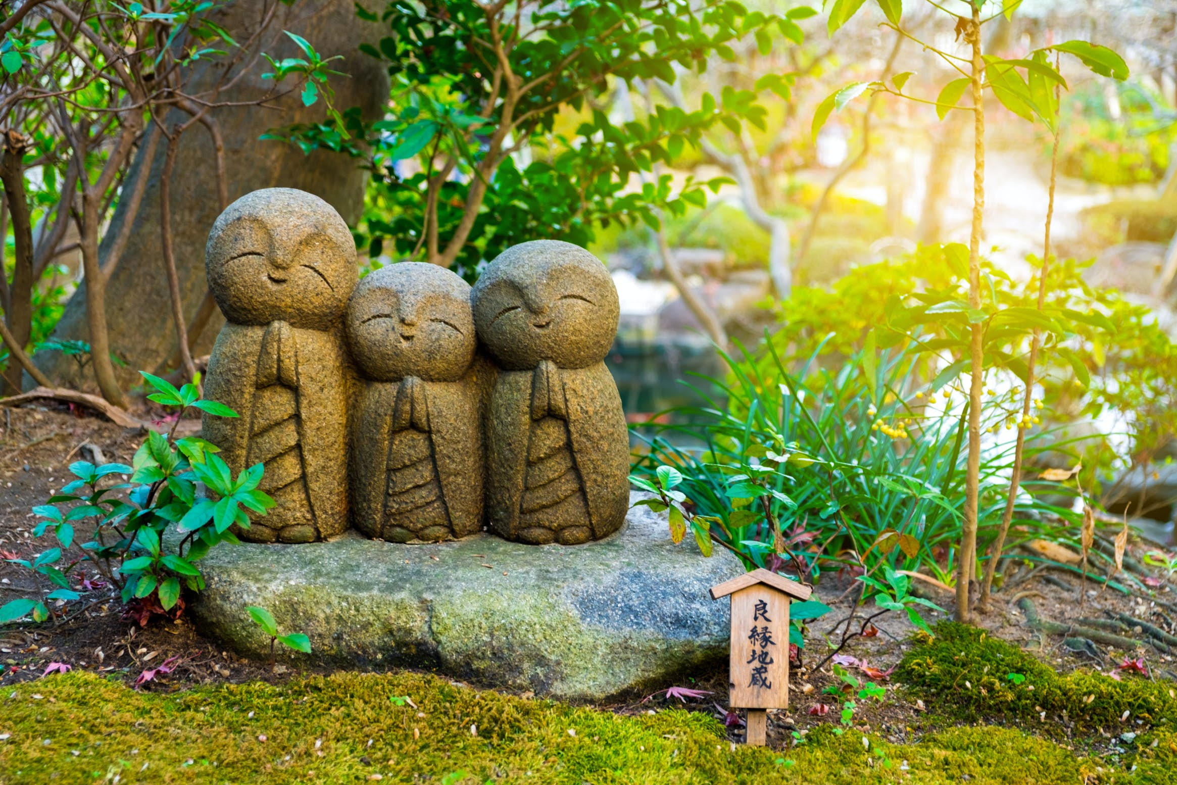 Kamakura Wallpapers - Top Free Kamakura Backgrounds - WallpaperAccess