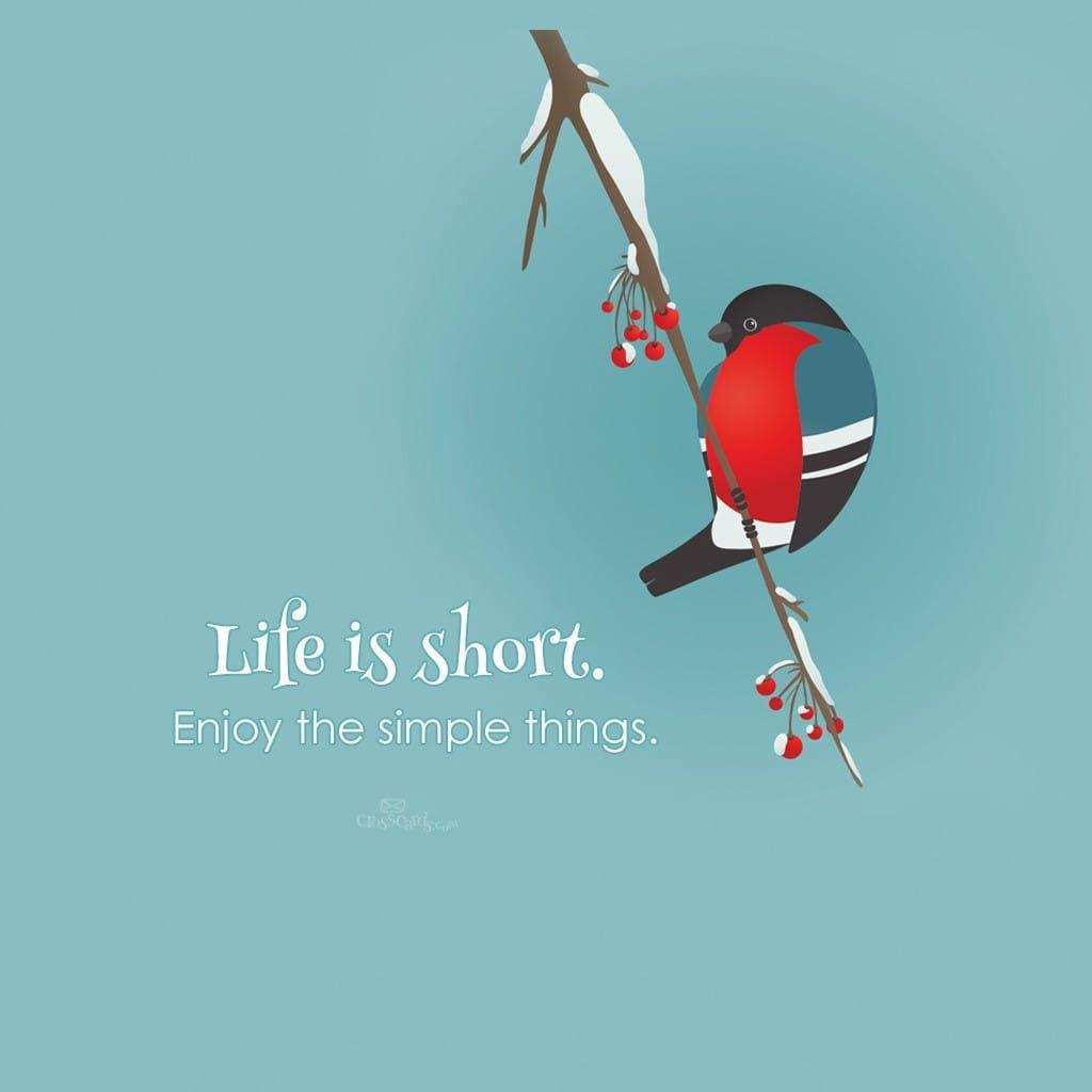 Life Is Short Wallpapers - Top Free Life Is Short Backgrounds ...