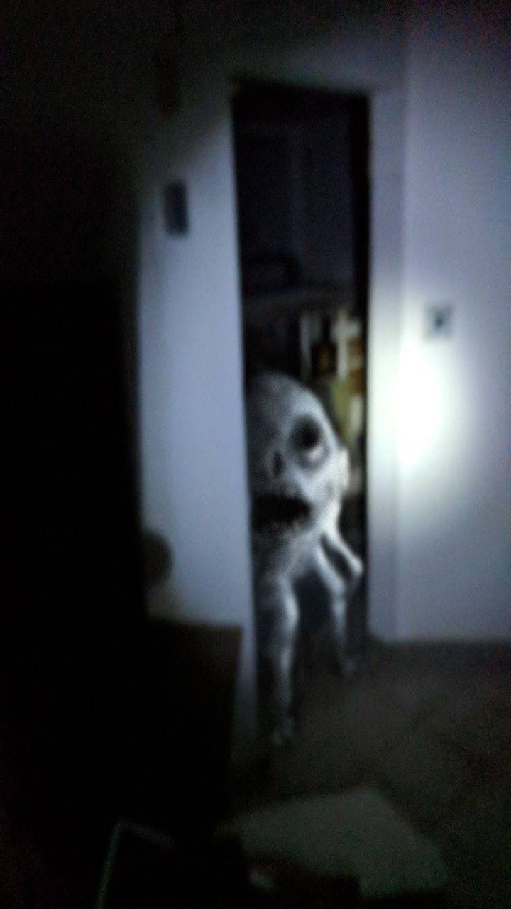 Trevor Henderson Wallpapers - Top Free Trevor Henderson Backgrounds ...