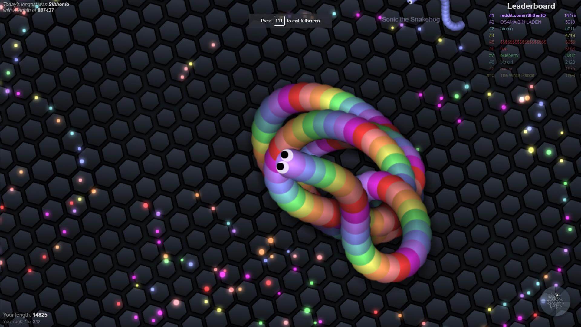 Slither.io Wallpapers - Top Free Slither.io Backgrounds - WallpaperAccess