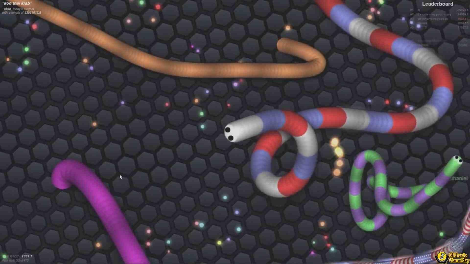 Slither.io Wallpapers - Top Free Slither.io Backgrounds - WallpaperAccess