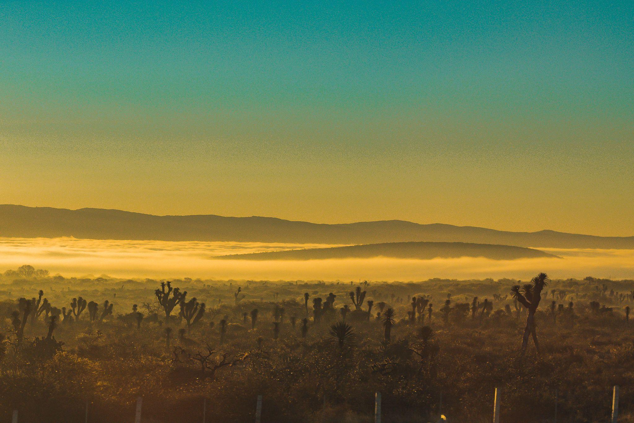 Jalisco Wallpapers - Top Free Jalisco Backgrounds - WallpaperAccess