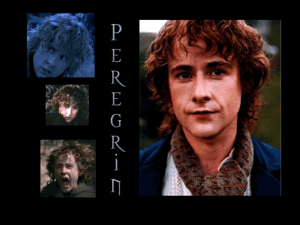 Pippin Wallpapers - Top Free Pippin Backgrounds - WallpaperAccess