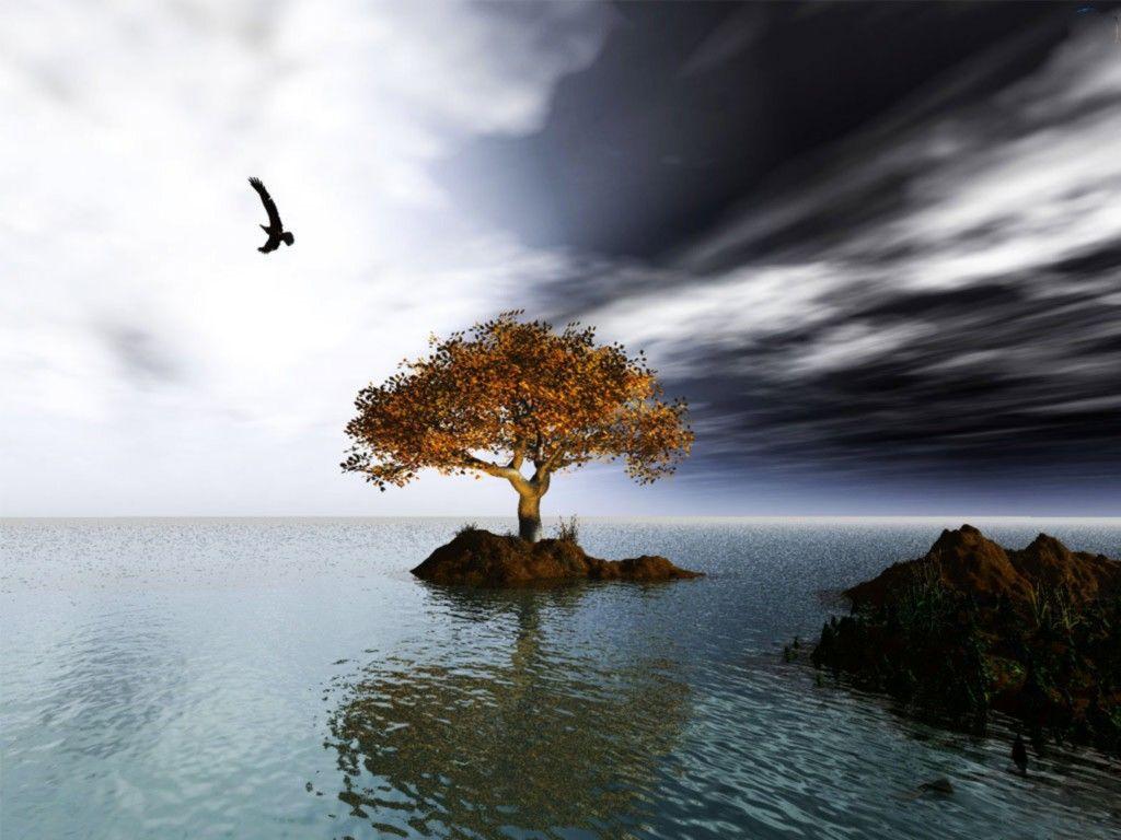 Single Tree Wallpapers - Top Free Single Tree Backgrounds - WallpaperAccess