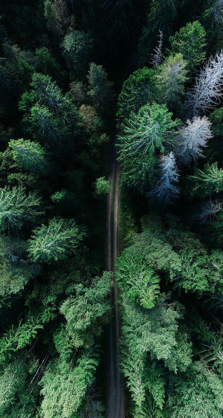 From Above Wallpapers - Top Free From Above Backgrounds - WallpaperAccess