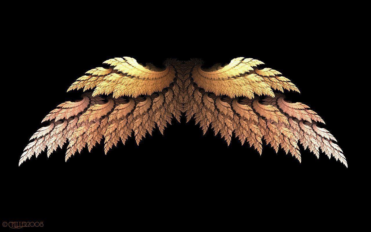 Wings Desktop Wallpapers - Top Free Wings Desktop Backgrounds ...