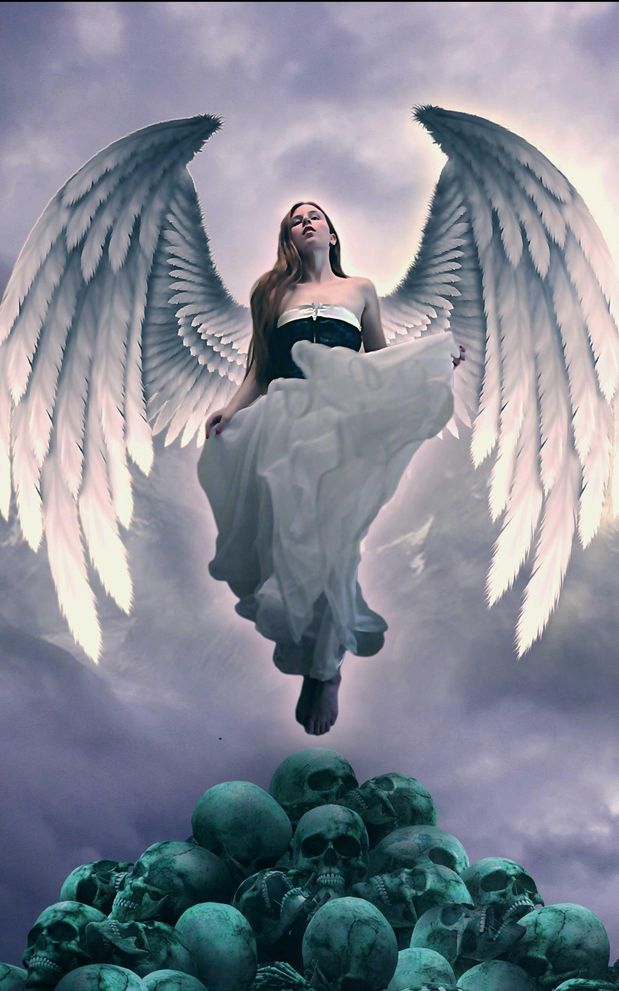 Cool Angel Wings Wallpapers - Top Free Cool Angel Wings Backgrounds ...