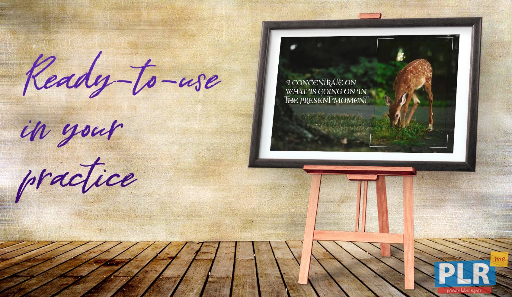 Present Moment Wallpapers - Top Free Present Moment Backgrounds ...