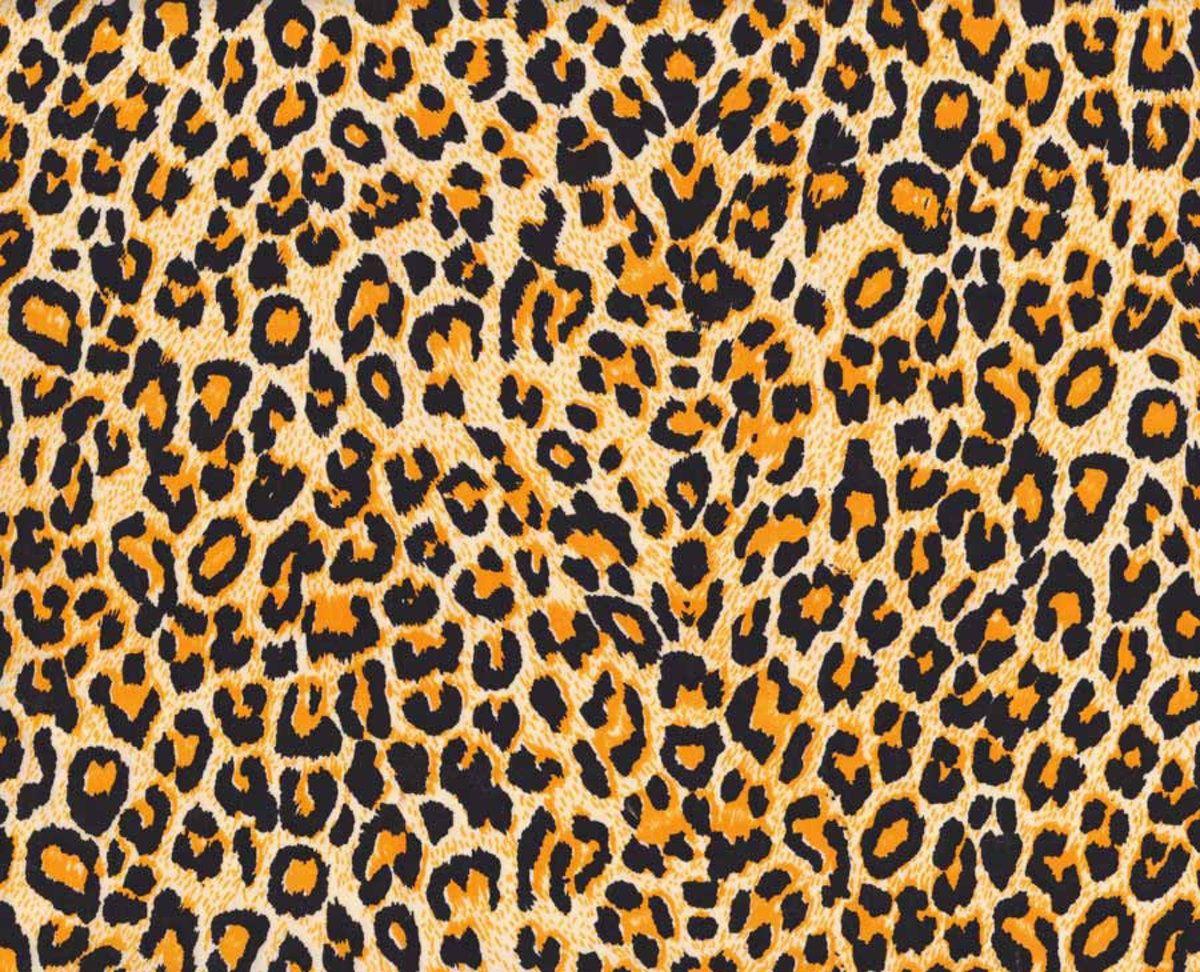 Leopard Skin Wallpapers - Top Free Leopard Skin Backgrounds ...
