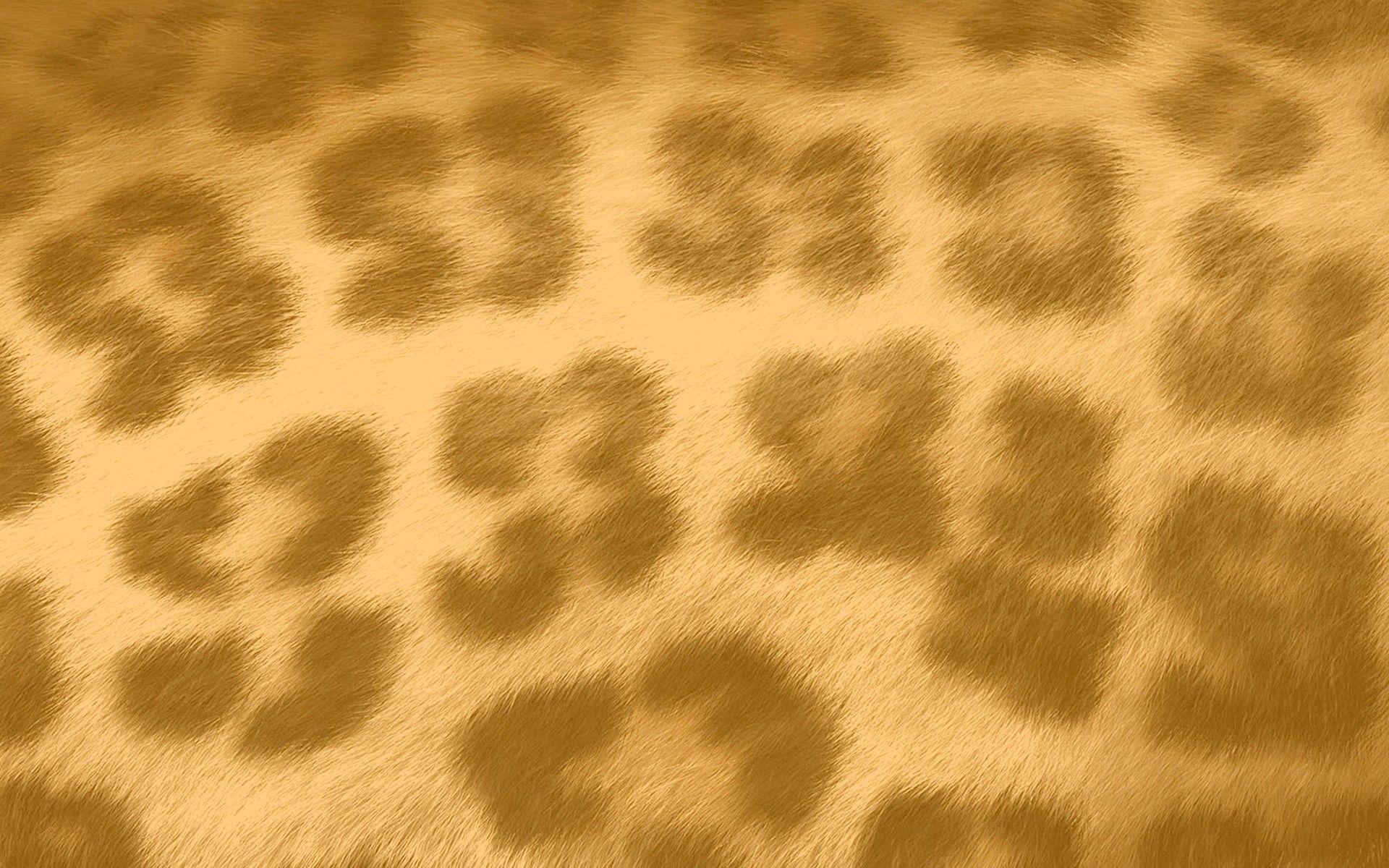 Leopard Skin Wallpapers - Top Free Leopard Skin Backgrounds ...