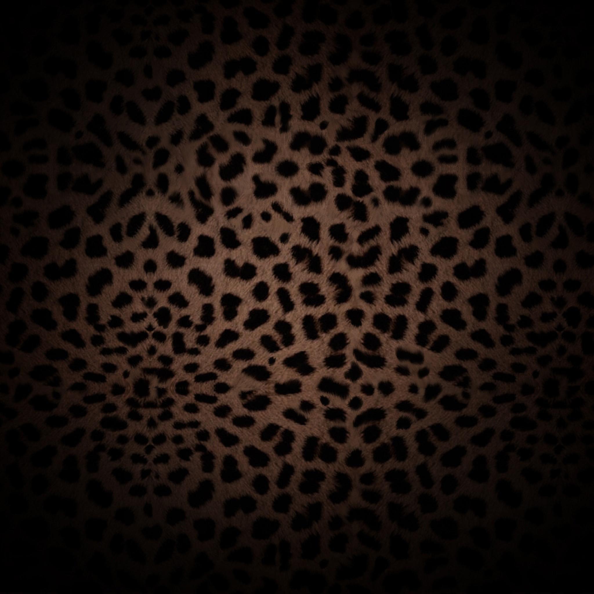 Leopard Skin Wallpapers - Top Free Leopard Skin Backgrounds ...