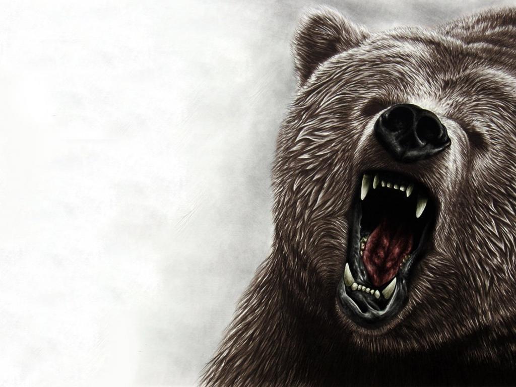 Angry Bear Wallpapers - Top Free Angry Bear Backgrounds - WallpaperAccess