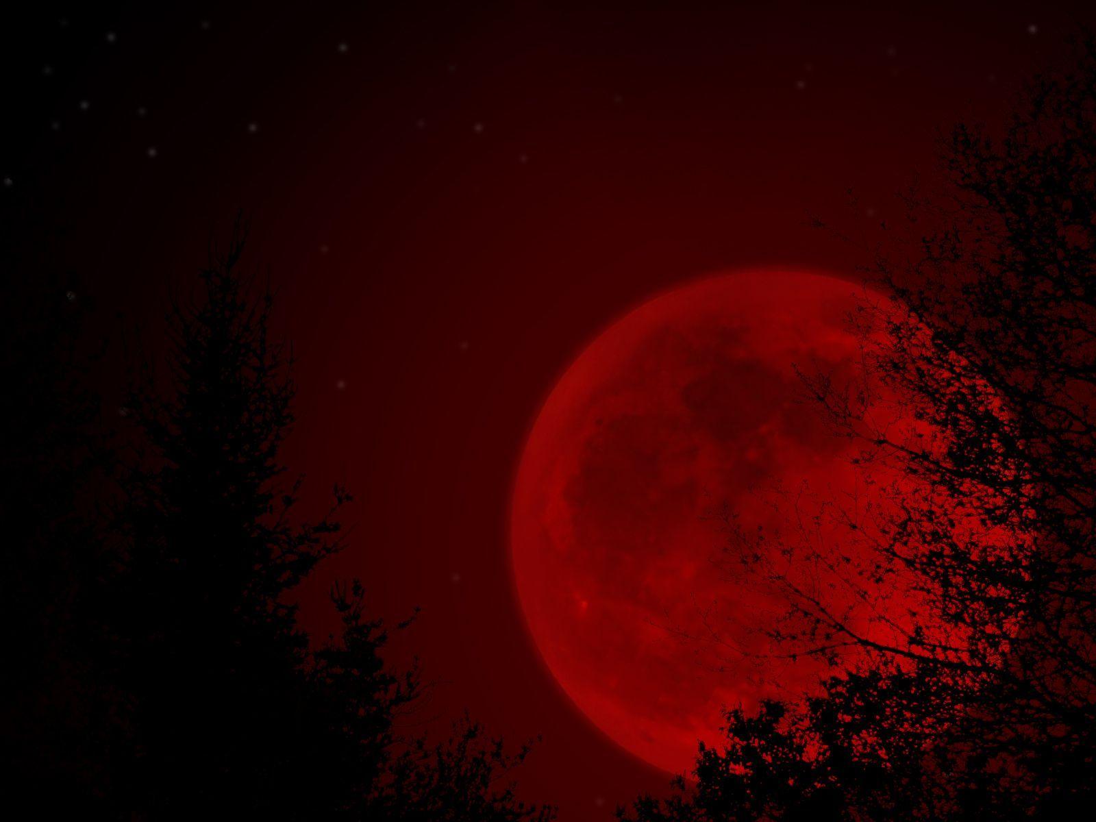 Crimson Moon Wallpapers - Top Free Crimson Moon Backgrounds ...