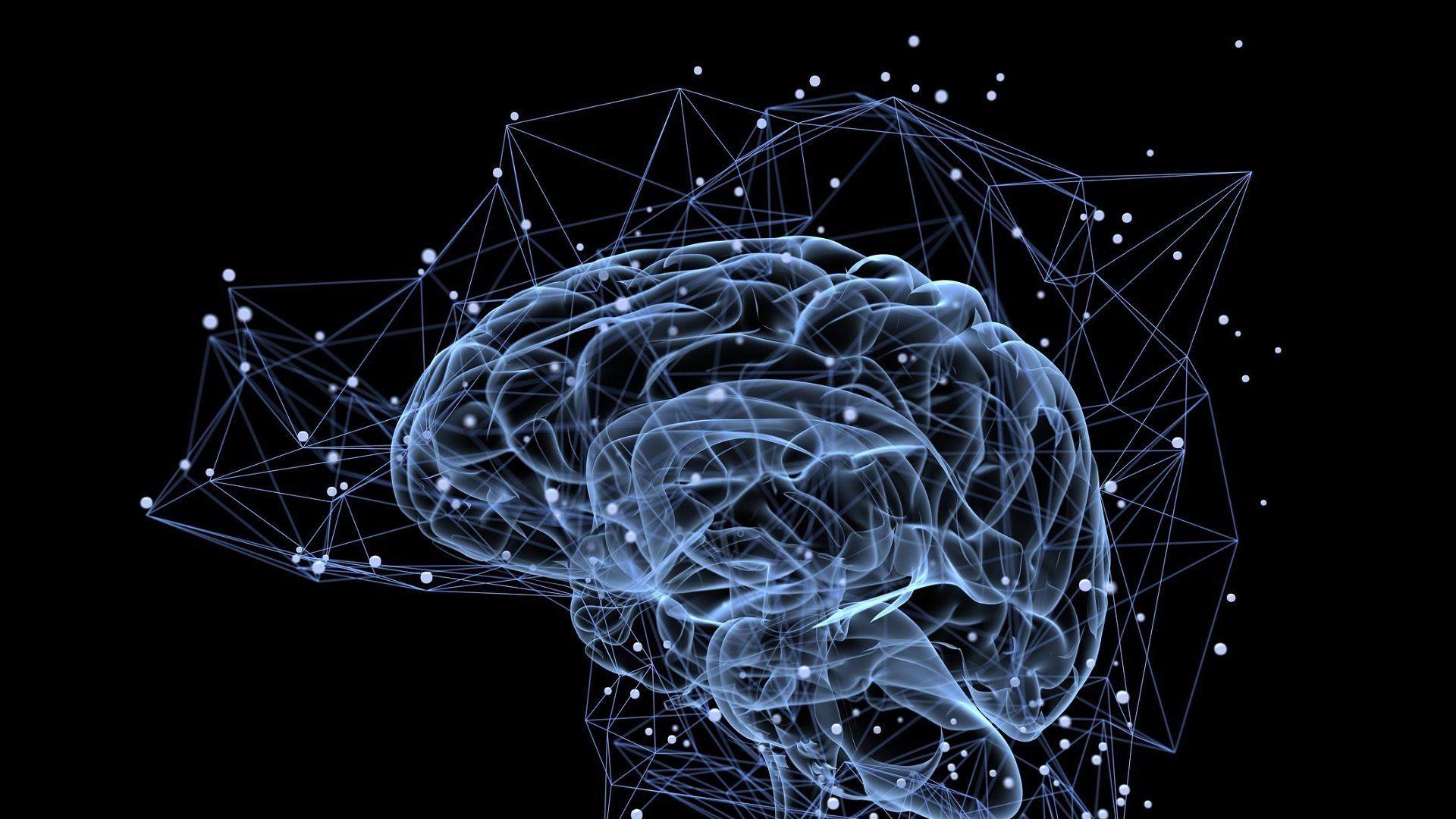 Brain Blue Wallpapers - Top Free Brain Blue Backgrounds - WallpaperAccess