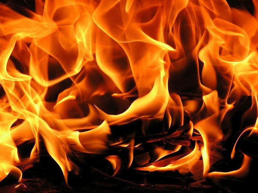 Miscellaneous Wallpapers - Top Free Miscellaneous Backgrounds ...