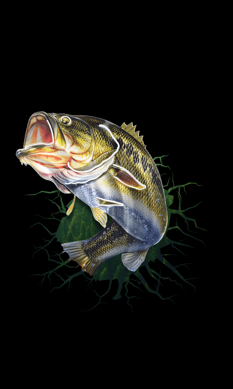 Largemouth Bass Wallpapers - Top Free Largemouth Bass Backgrounds ...